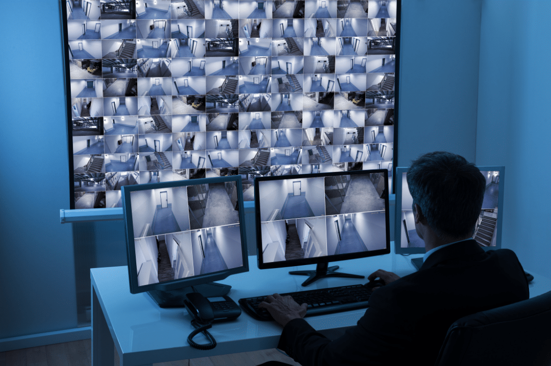 CCTV Monitoring - CCTV Health Monitoring System - Agrex.ai